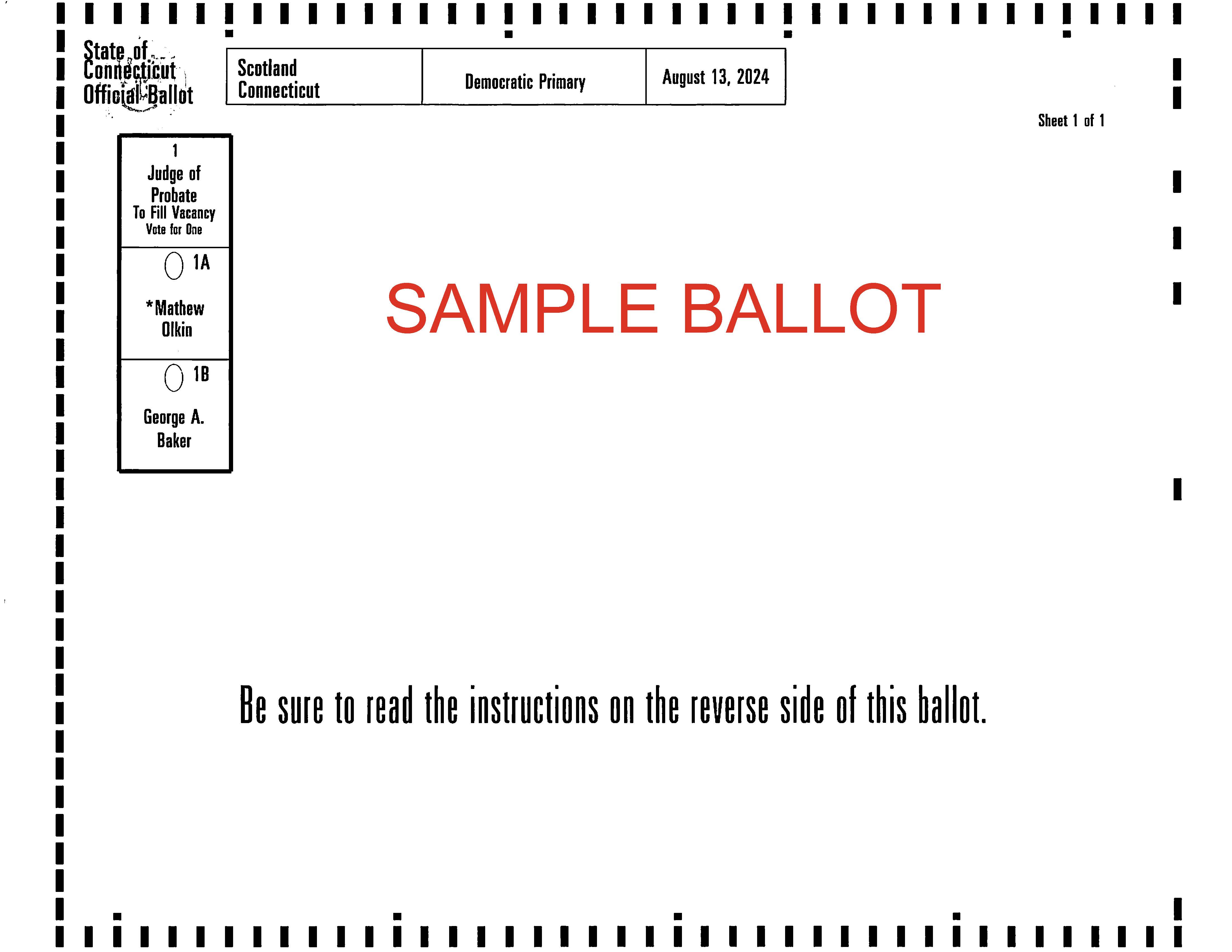 Article: 8/13/2024 Democratic & Republican Primary and Early Voting